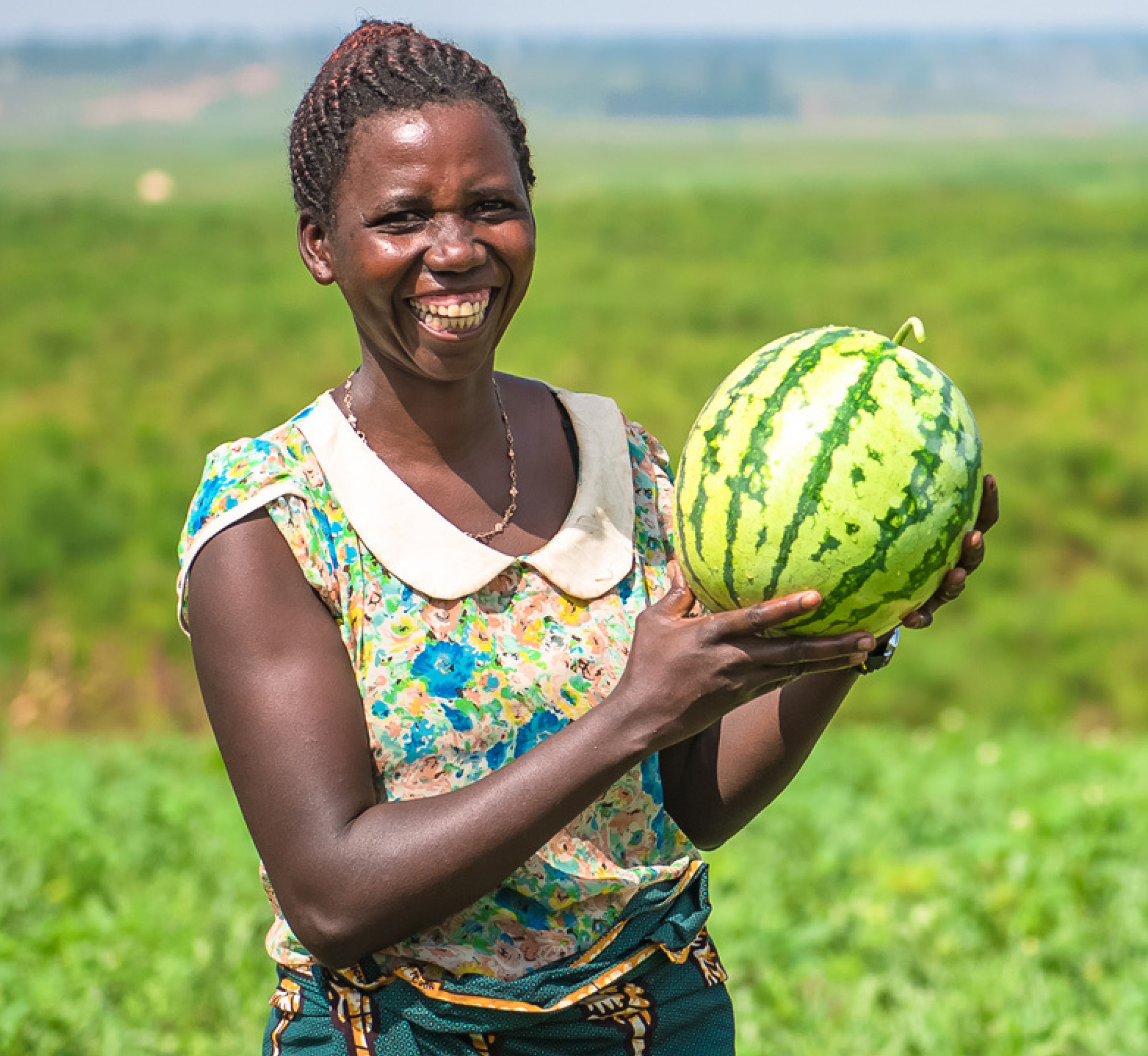 Feed the Future Rwanda Hinga Weze Activity: Increasing the Resilience ... Feed the Future Rwanda Hinga Weze Activity: Increasing the Resilience ...