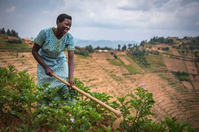 SEEP Network Blog - The Role of Food Security in Economic Recovery ...